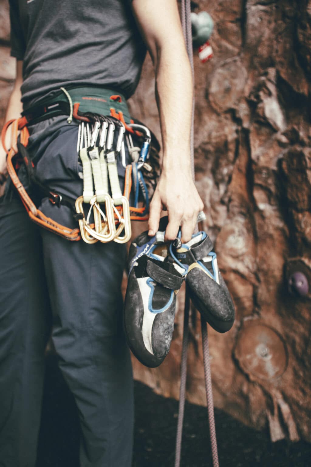 Auto Belays: Pros and Cons | Vertical Endeavors